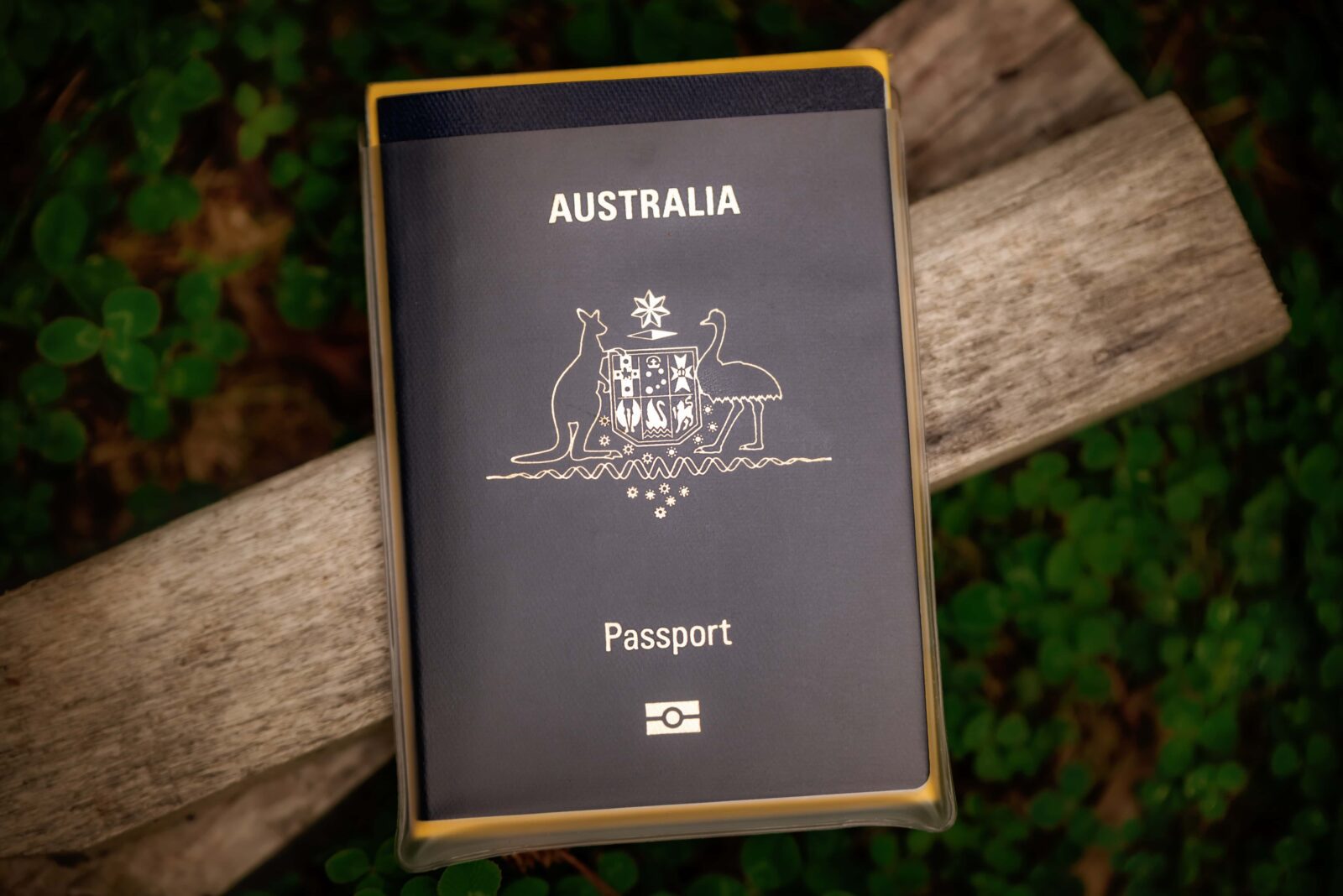 Photos For A Passport