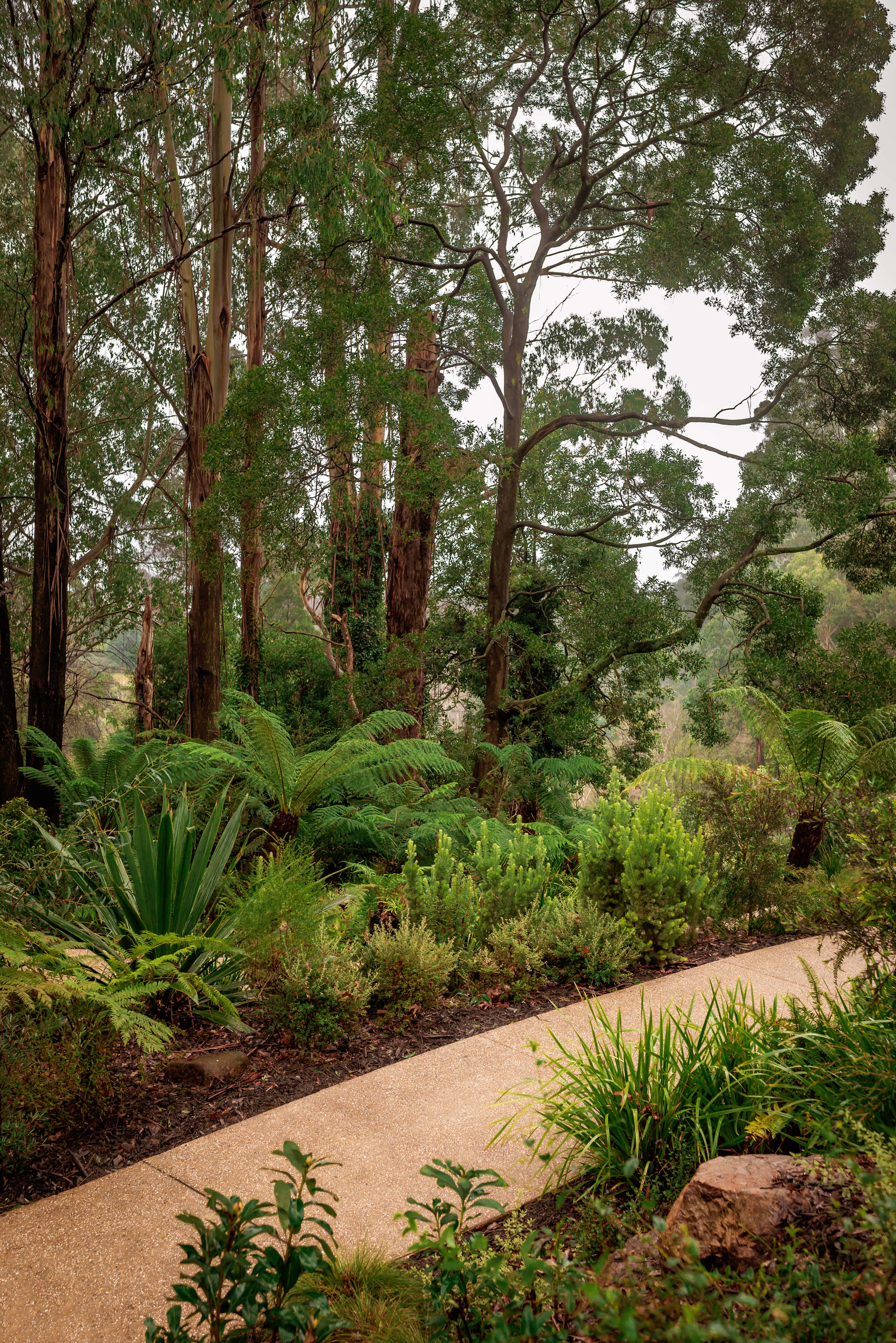 Chelsea Australian Garden at Olinda